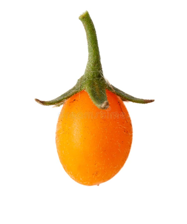 Small Orange Pumpkins in a Wooden Case Stock Photo - Image of haloween ...