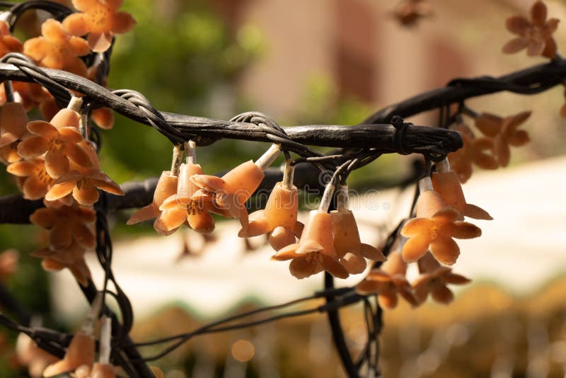Small Orange Lamps for Decoration on a Tree Stock Image - Image of ...