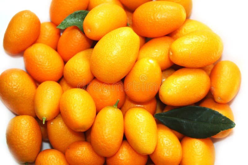 Small Oranges on the White Background. Stock Image - Image of food ...