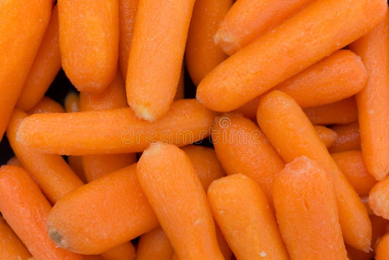 Small organic baby carrots stock photo. Image of fiber - 62226280
