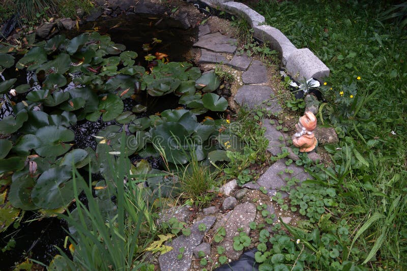 Small Ornamental Pond on the Plot of Land Stock Photo - Image of garden ...