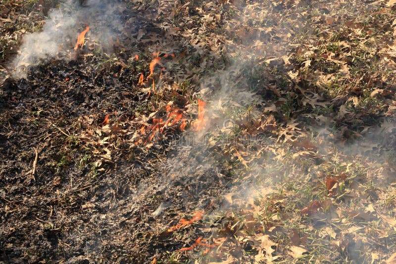 Fire Spreading in Different Directions in the Wind Stock Photo - Image ...