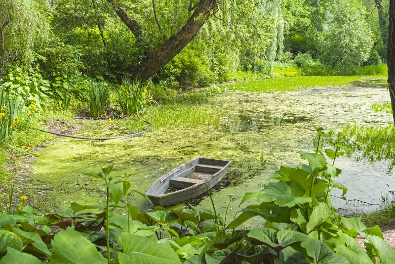 Overgrown with a pond stock image. Image of grass, pond - 109951725