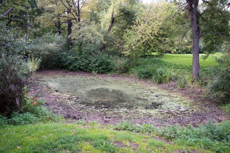 Unkempt, overgrown garden stock image. Image of overgrowing - 23798713