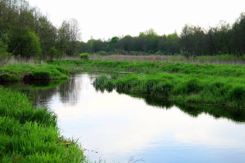 Small overgrown river stock photo. Image of overgrown - 279625442
