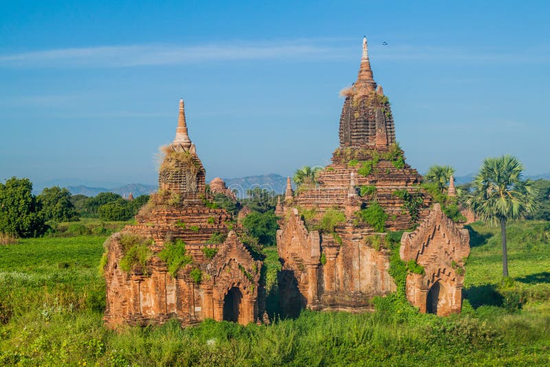 Small Overgrown Temples in Bagan, Myanm Stock Image - Image of religion ...