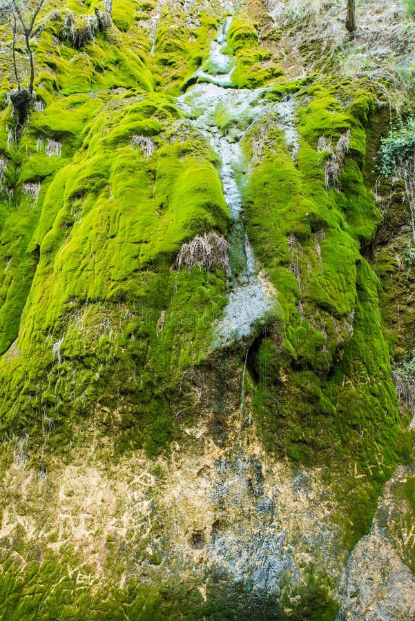 Small overgrown waterfall stock photo. Image of natural - 117870942