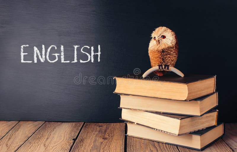 A Small Owl is Sitting on Top of a Stack of Books Stock Image - Image ...