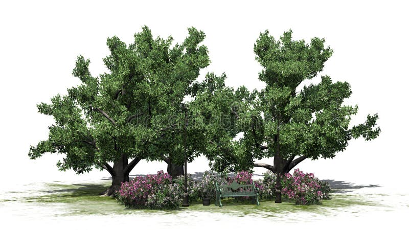 Small Park With Bushes And Trees On White Background Stock Illustration ...