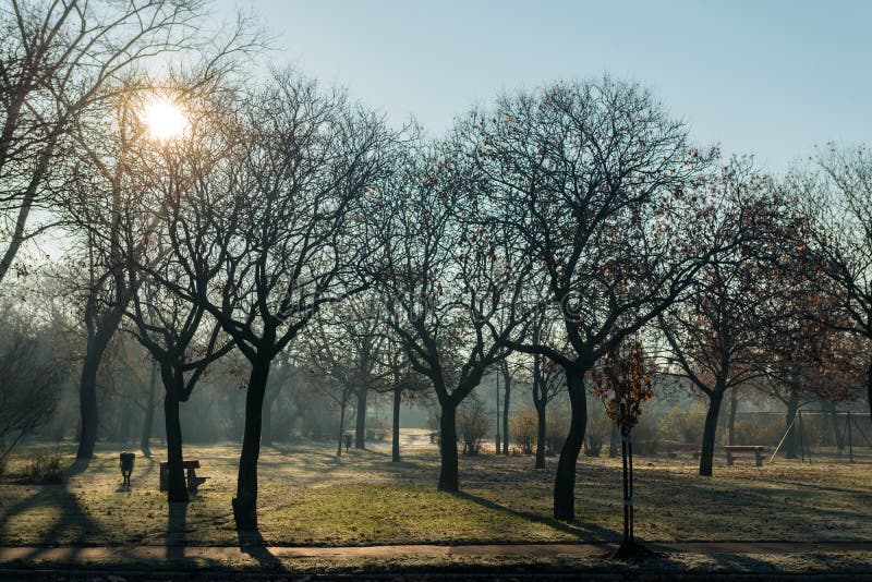 Small Park in Early Spring Weather Stock Image - Image of seasonal ...