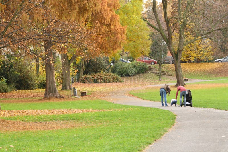 Small park stock photo. Image of fall, plants, park, trees - 62107220