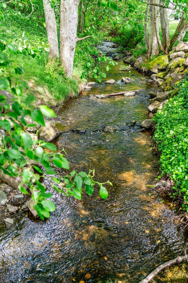 Small Park Stream 2 stock photo. Image of washington - 321057202