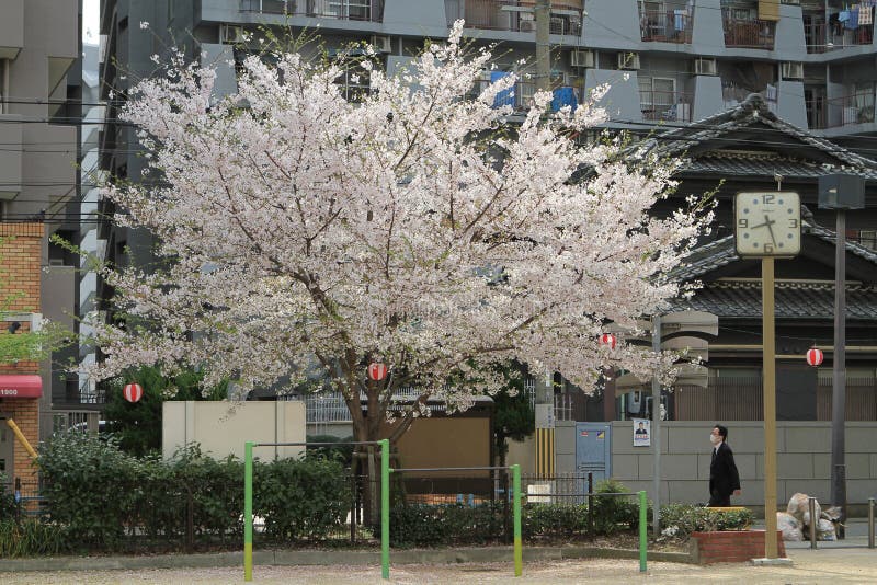 The Small Park at Yamaguchi Cho, Osaka, Japan 13 April 2012 Editorial ...