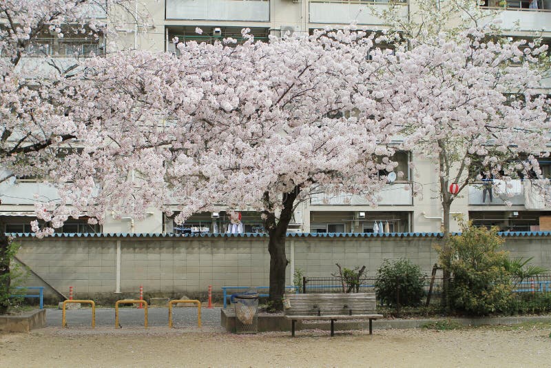 The Small Park at Yamaguchi Cho, Osaka, Japan 13 April 2012 Editorial ...