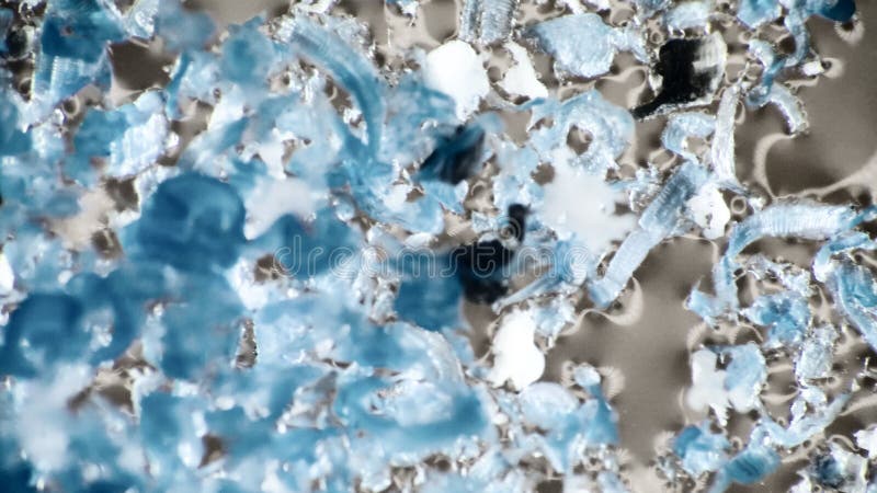 Small Particles of Plastic Stick Together in the Water Stock Image ...