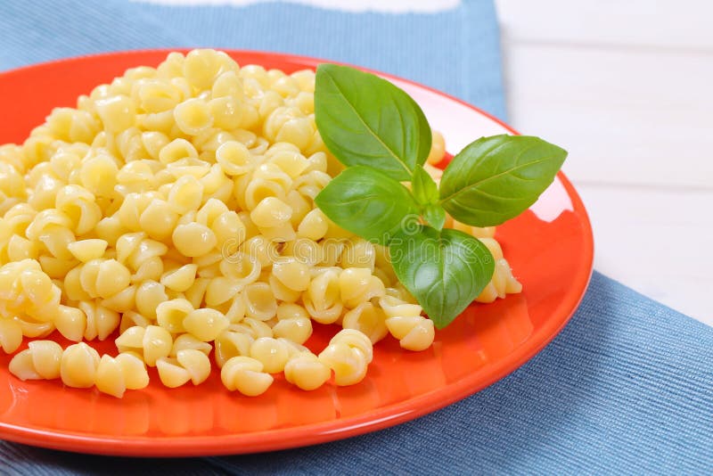 Small pasta shells stock photo. Image of place, wheat - 95711324