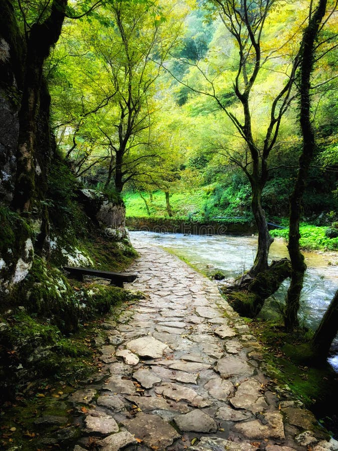 Small path in green forest stock image. Image of mountains - 114001407