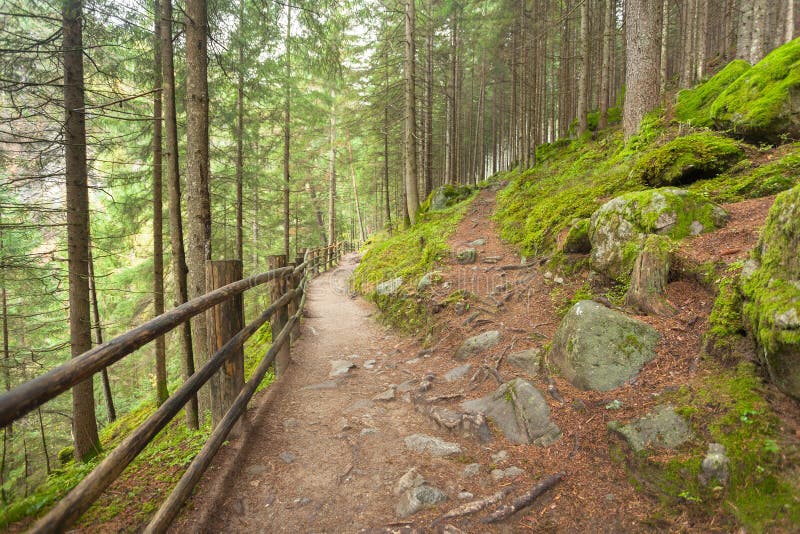 A Small Path Leaves the Main Path Long the Woods Stock Photo - Image of ...