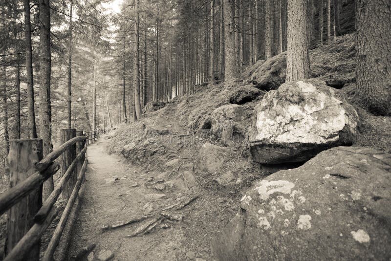 A Small Path Leaves the Main Path Long the Woods Stock Image - Image of ...