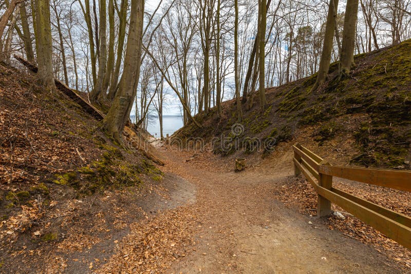 Small Path in Park Full of Old Trees To Small Beach Next To Sea Stock ...