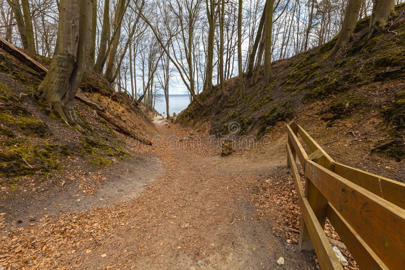 Small Path in Park Full of Old Trees To Small Beach Next To Sea Stock ...