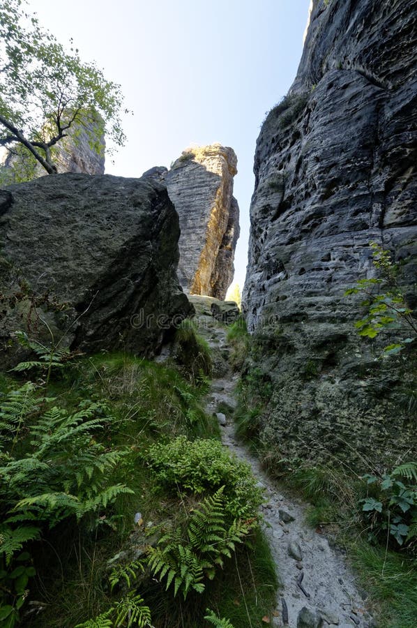 Small path in forest chasm stock image. Image of beautiful - 108375083