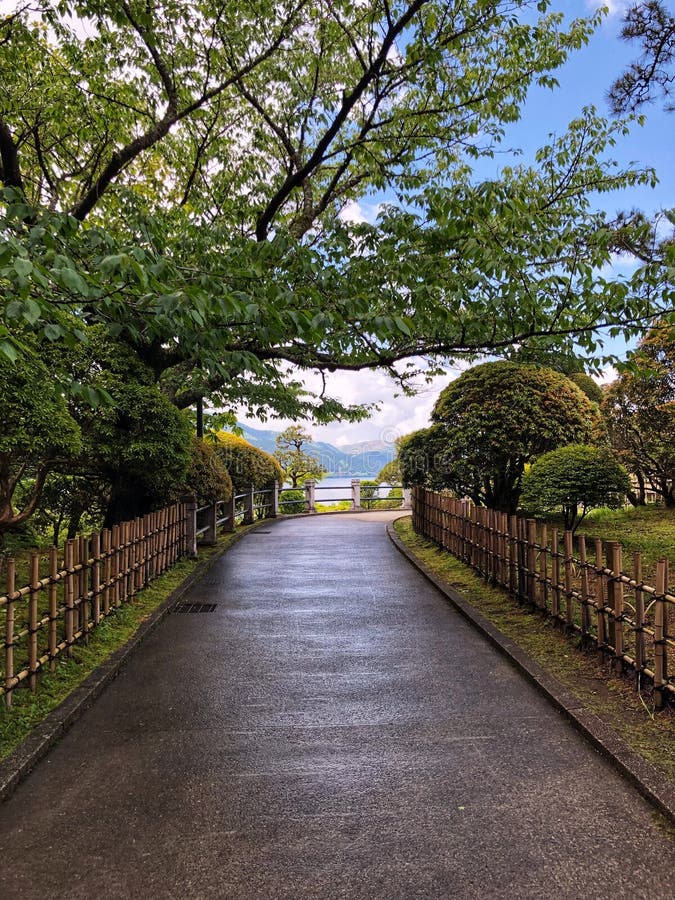 The Small Path between the Trees, Path Leads To the Lake Stock Photo ...