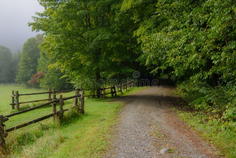 Small path underwood stock image. Image of quebec, park - 255615809