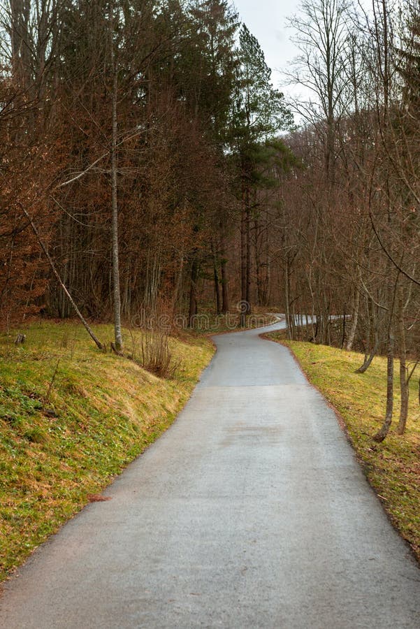Small Pathway in the Nature Stock Image - Image of small, path: 97761411