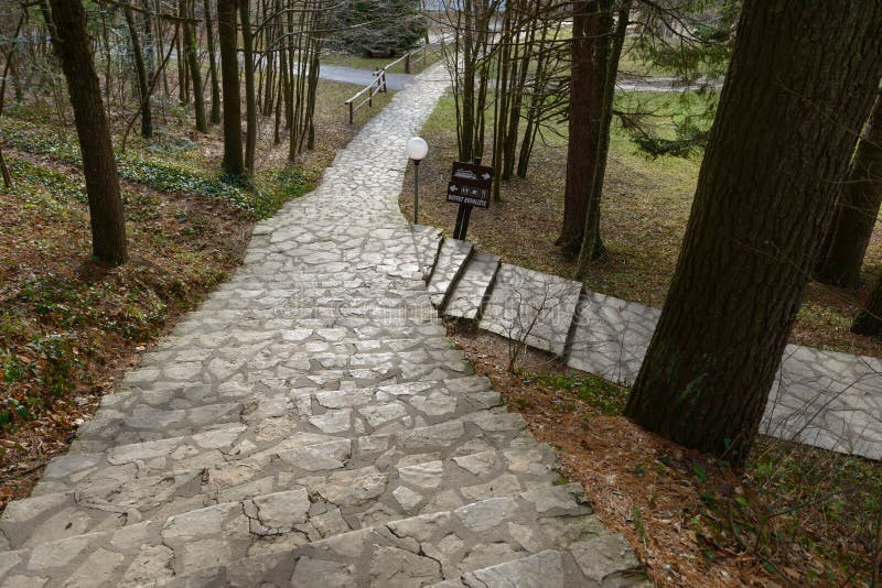 Small Pathway Going Trough the Forest Stock Image - Image of long ...