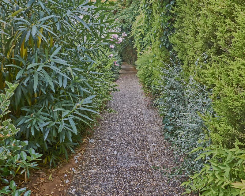 Small Pathway in the Nature Stock Image - Image of small, path: 97761411