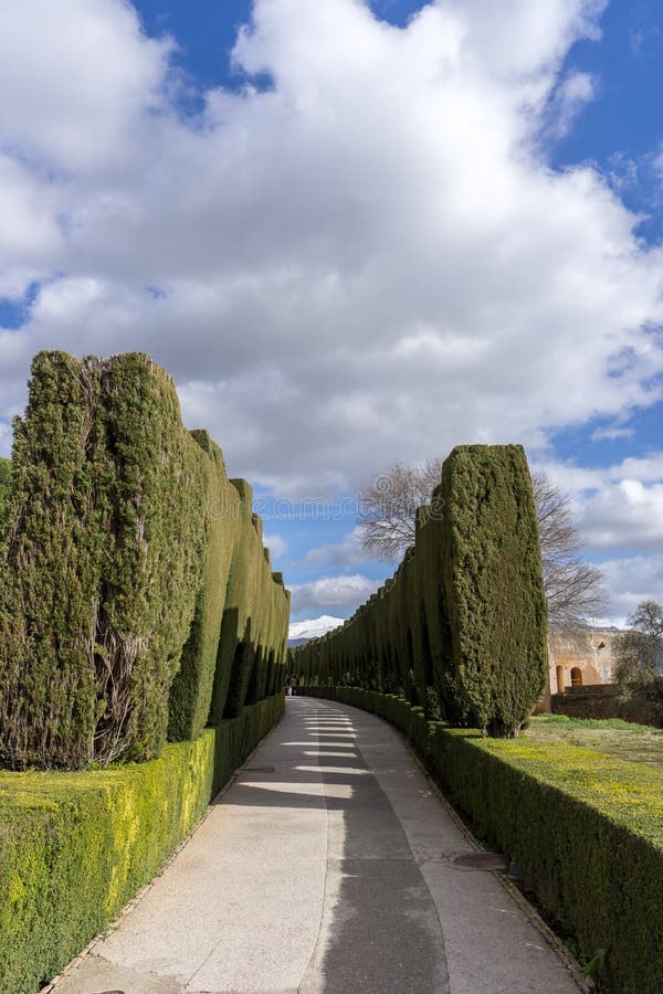 Pathway among hedge stock photo. Image of peaceful, park - 112521026