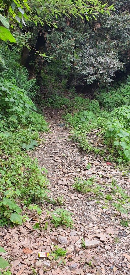 Small Pathway in the Nature Stock Image - Image of small, path: 97761411