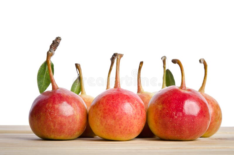 Small pears and leaves stock image. Image of diet, fruit - 108084929