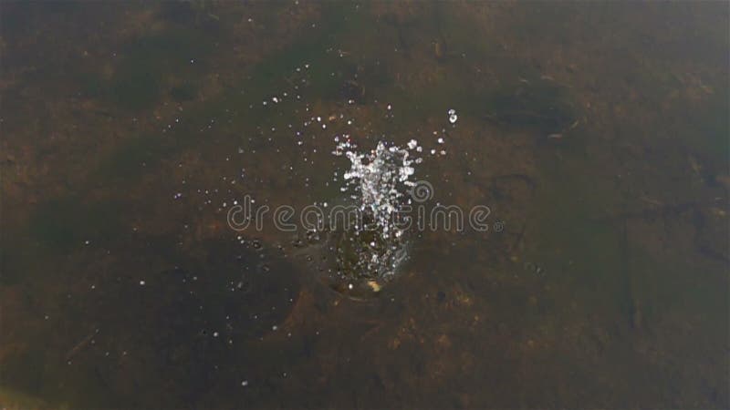 A Small Drop of Water in Mid-air, Focused on Its Surface Details Stock ...