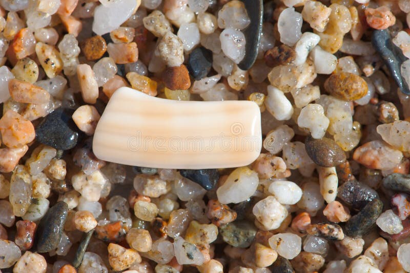 Small Pebbles on the Beach Close-up Stock Photo - Image of material ...