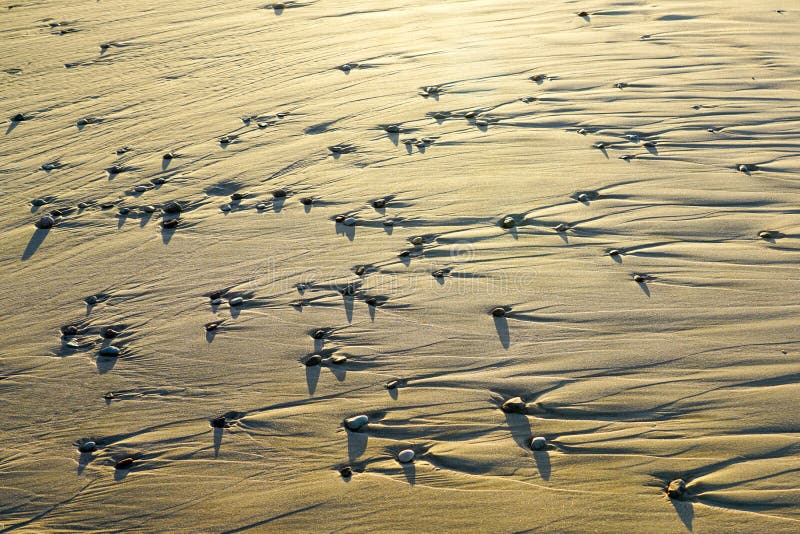 Small Pebbles in the Beach Sand, Interesting Sand Texture Created by ...
