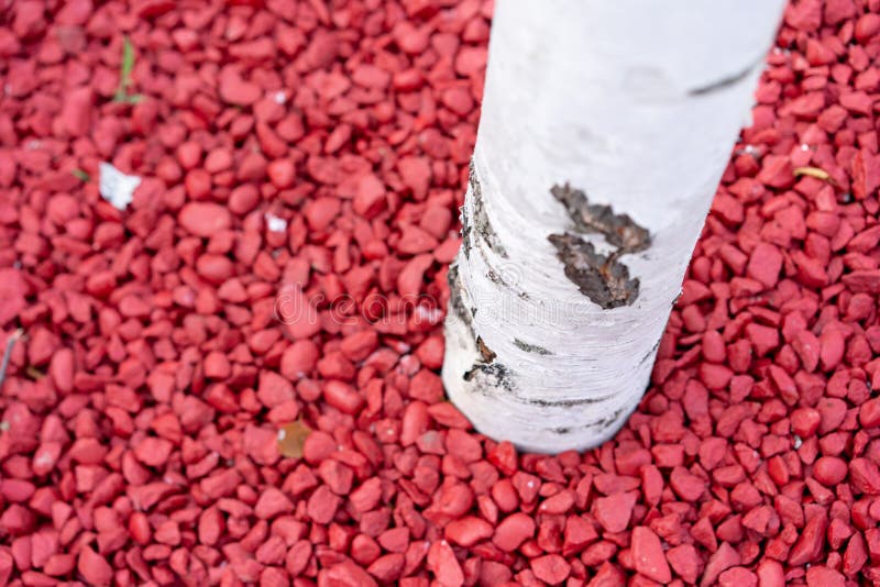 Small Pebbles Cover the Tree Stock Image - Image of material, nature ...