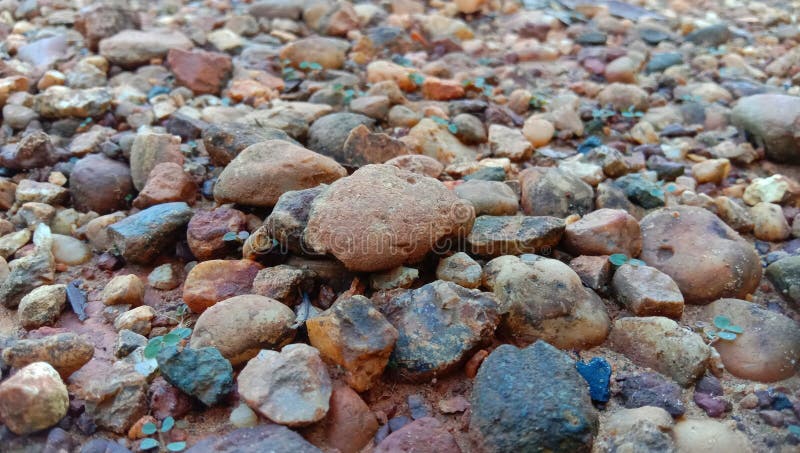 Small Pebbles Front My House Stock Photos - Free & Royalty-Free Stock ...