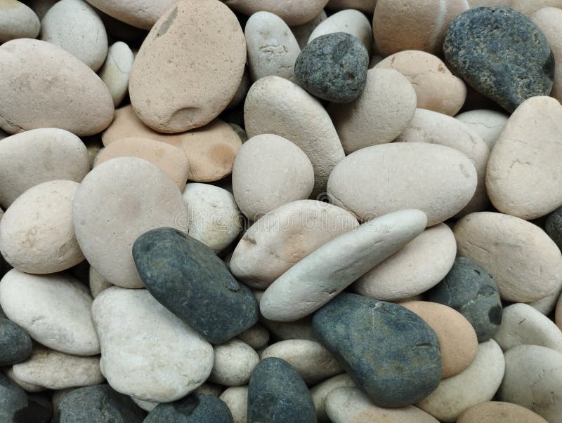 Small Pebbles on the Garden Stock Image - Image of food, flooring ...