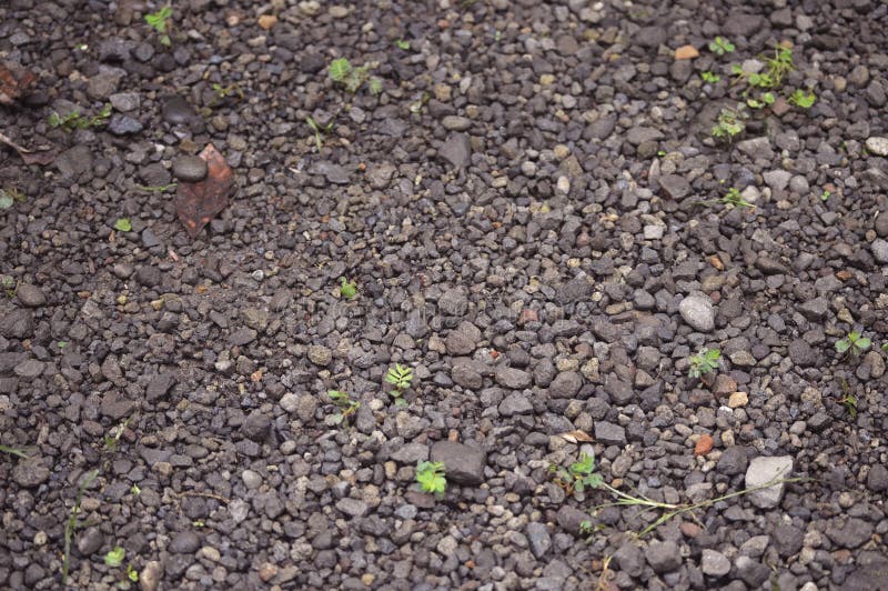 Jump Clipart Visual Stock Photos - Free & Royalty-Free Stock Photos ...