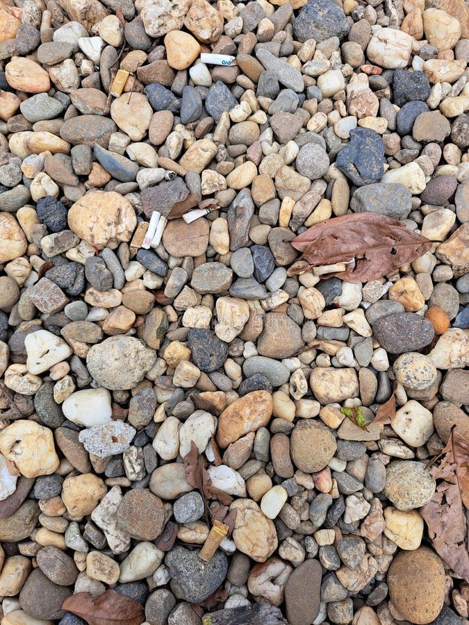 Small Pebbles Mixed with Cigarettes and Dry Leaves Stock Image - Image ...