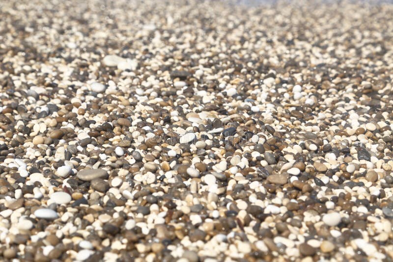 Small pebbles texture stock image. Image of rock, stones - 24660171