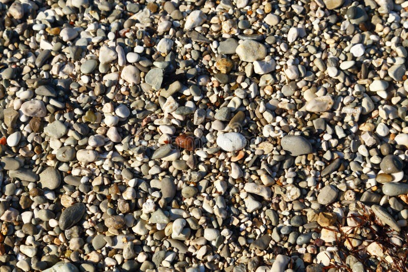 Small pebbles texture stock image. Image of rock, stones - 24660171