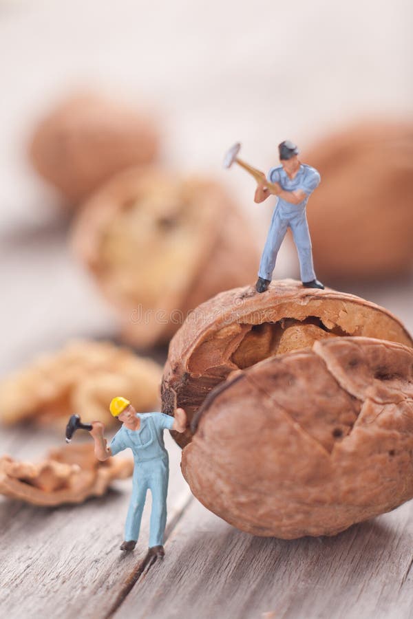 Small People Split the Walnut. the Concept of Cooking Stock Image ...