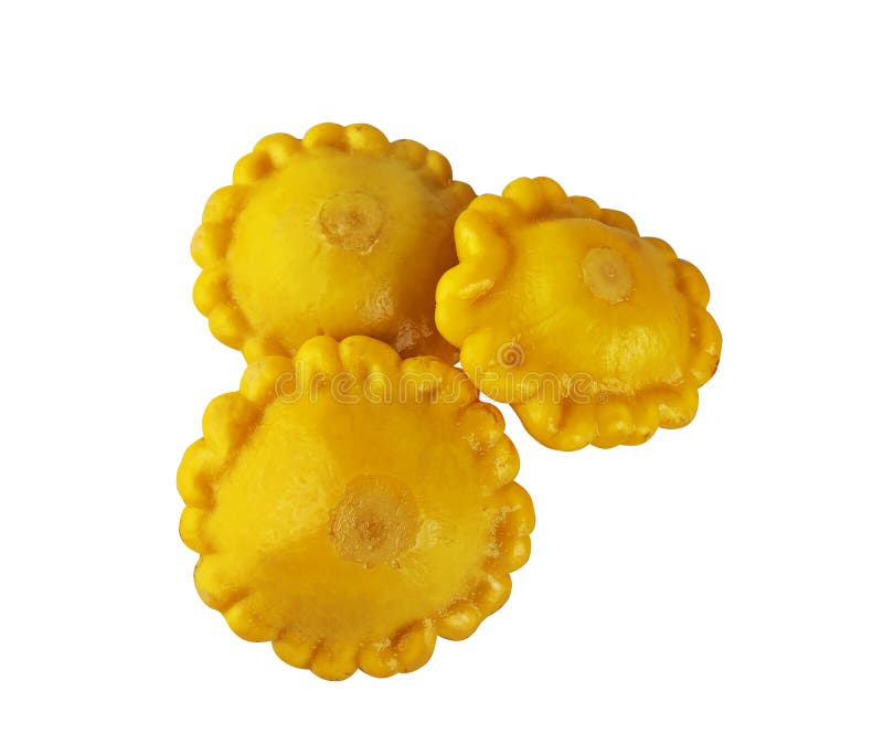 Pattison Isolated on a White Background with a Clipping Path Stock ...