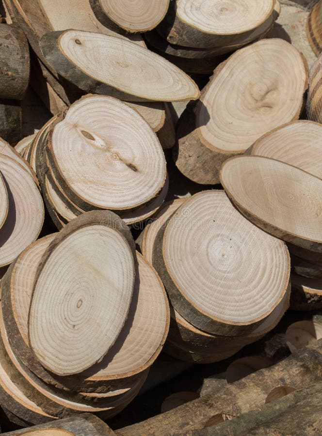 Small Piece of Cut Wood Logs Stock Image - Image of circular, wooden ...
