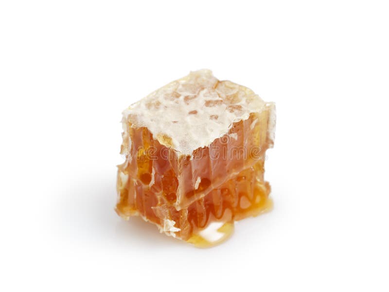 Small Piece of Honeycomb Isolated on White Stock Image - Image of ...
