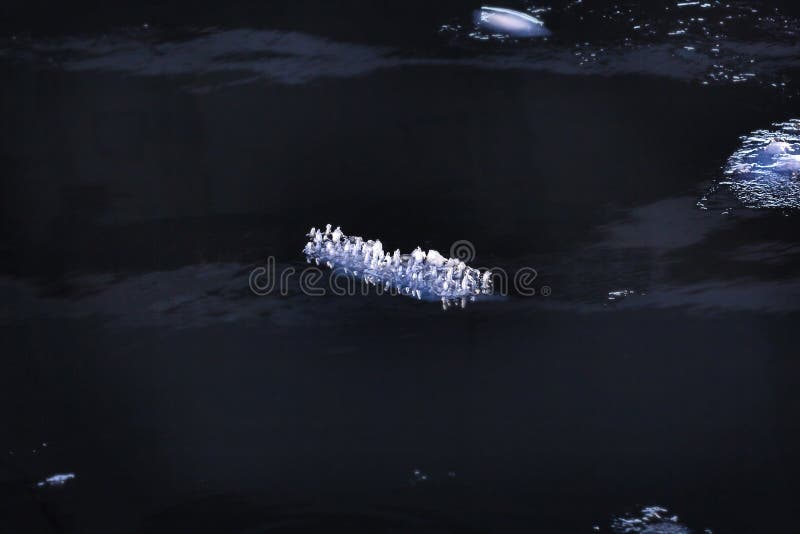 Small Piece of Ice in Dark Waters Stock Photo - Image of deep, dark ...