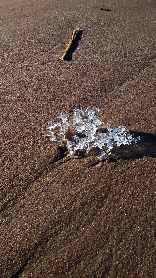 Small piece of ice stock image. Image of small, sand - 211819937